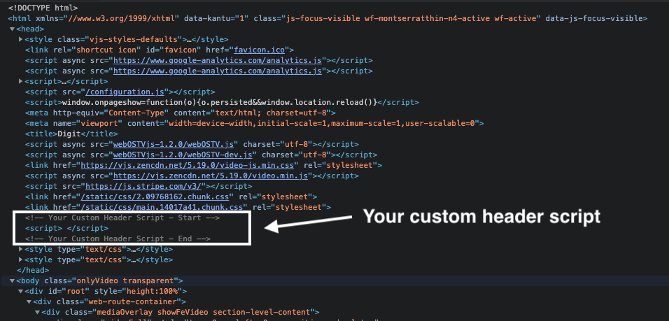 Custom script injection in MAZ Web app – MAZ Systems